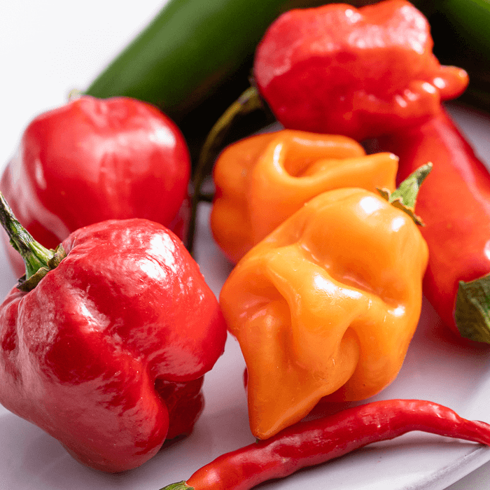 Spice & Herb Extracts Natural Flavor Ingredients | Kalsec