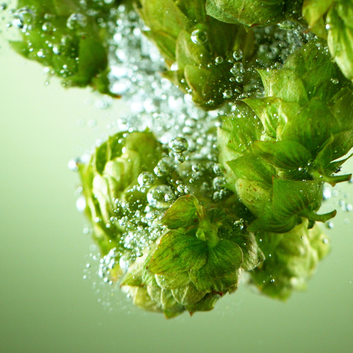 Hop Products for Beverages | KalHops